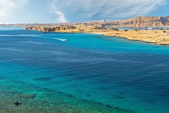 Sharm El Sheikh: White Island and Ras Mohamed Cruise Adventure - Authentic Insights from Travelers