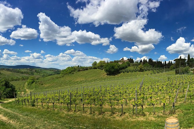 Siena: A Wine Tour and Tasting Experience - Who Should Consider This Tour?
