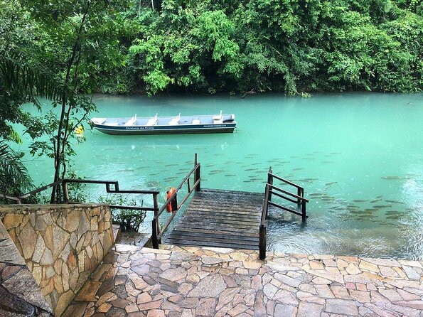 Skip the Line:Recanto Ecologico Rio da Prata Ticket including Trail & Snorkeling - Why Travelers Love This Tour