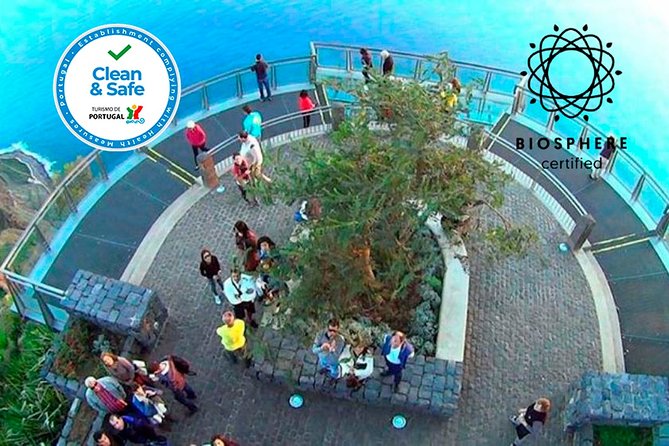 Skywalk and 4x4 Adventure with Amazing Views and Wine Tasting - Who Will Love This Tour?