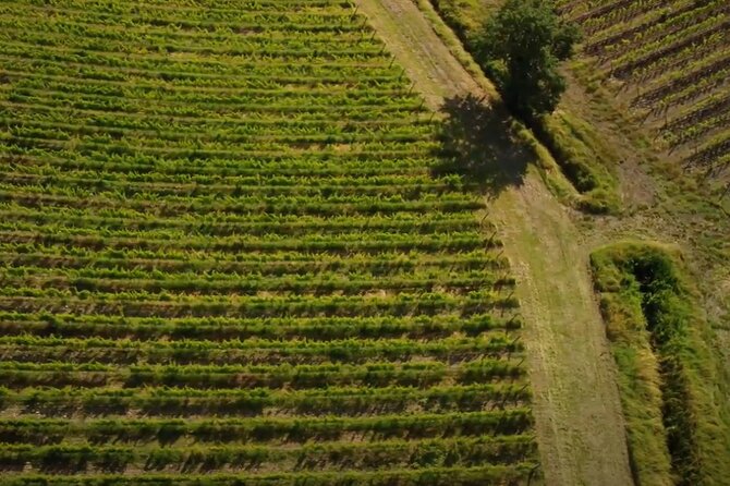 Small group Brunello di Montalcino Wine Tour from Siena - FAQs