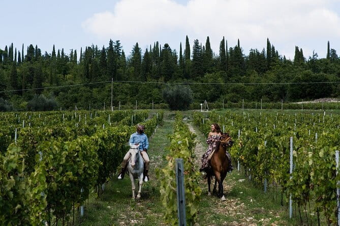 Small Group Chianti Wine Tasting with Seven Tuscan Wines - Wrapping Up