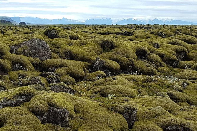 Small Group Day Tour to Lakagigar volcano by Super Jeep from Klaustur - The Value of a Guided Small Group Tour