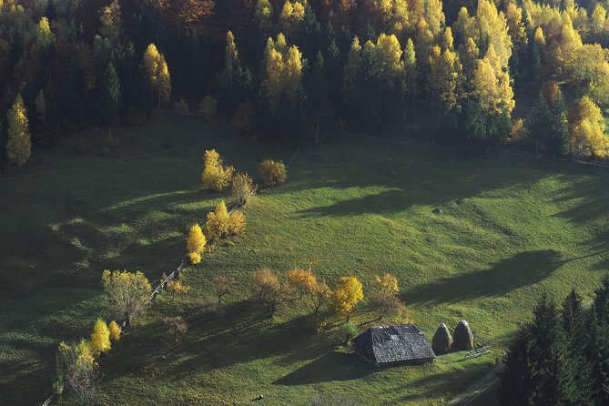 Small-Group Day Trip in Romanian Authentic Mountain Villages from Brasov - Who Should Consider This Tour?