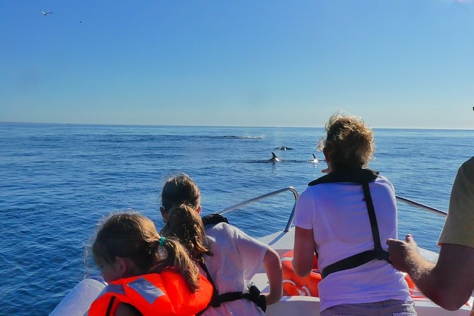 Small Group Dolphin and Wildlife Watching Tour in Faro - The Sum Up