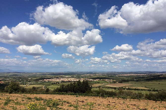 Small-Group Food and Wine Tour from Cagliari - Practical Considerations