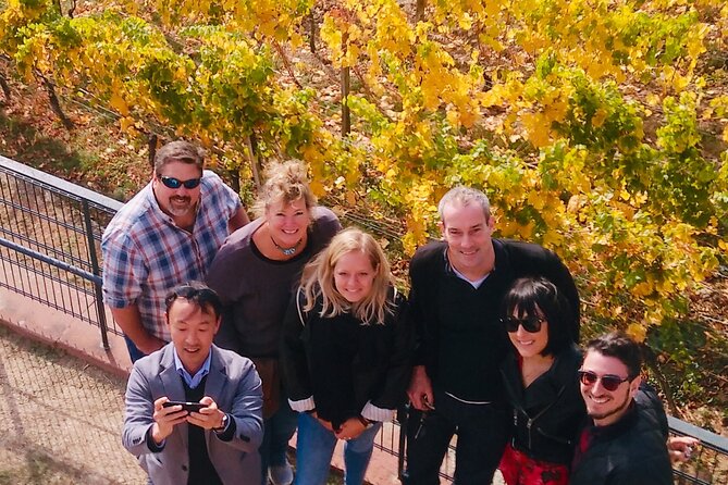 Small Group Rheingau Vineyards Tour with Castles and Abbeys - Authenticity and Expert Guidance