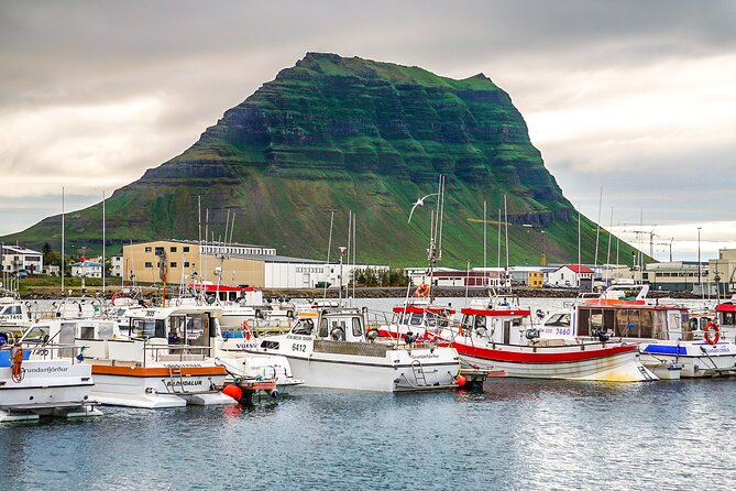 Snaefellsnes and Kirkjufell Day Tour by Minibus from Reykjavik - Potential Drawbacks and Considerations