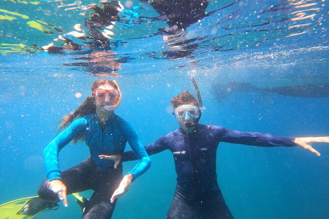 Snorkeling and Boat Tour in a Turtle Area - Who Will Love This Tour?