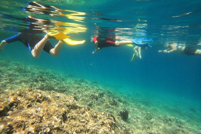 Snorkeling Boat Excursions in Nea Makri, Athens - Delving Into the Details: How the Itinerary Shapes Your Day