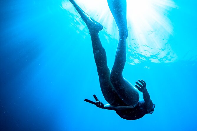 Snorkeling with Marine Biologist Expert from Sorrento - The Value for Money