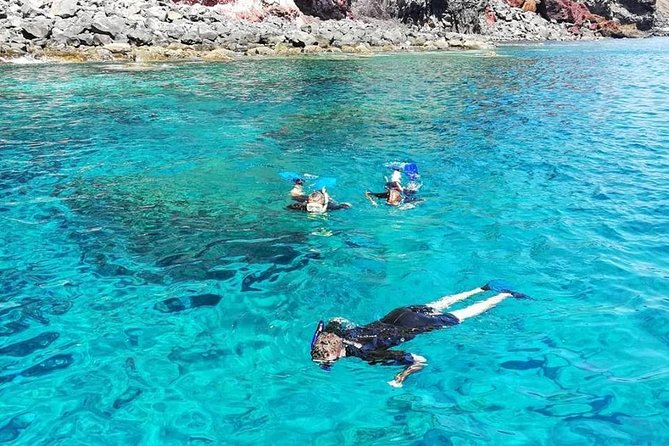 Snorkelling Trip at Ponta de São Lourenço Protected Area - Practical Tips and Considerations