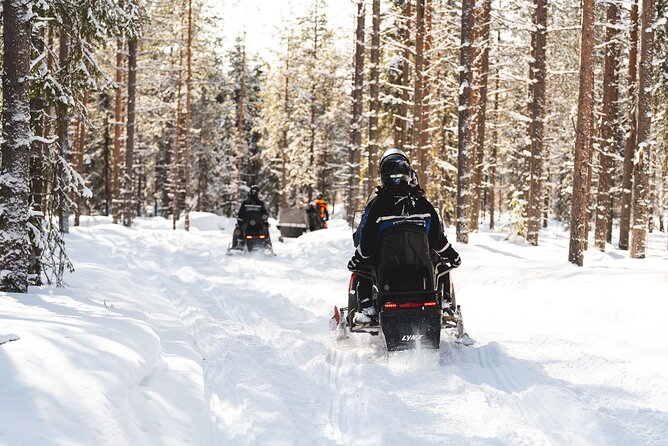 Snowmobile Safari into the Arctic Circle Forest - What Guests Say: Authentic Insights