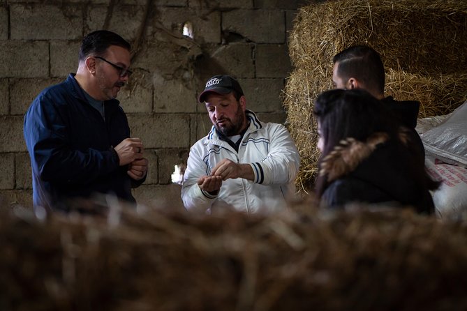 Sorrento Farm by Tuk Tuk: Cheese, Limoncello & Hands-On Pizza - FAQ
