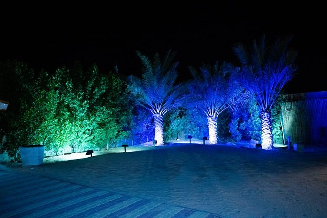 Standard Desert Safari, camel ride, BBQ Dinner, Belly Dance Show, Pick & Drop - Is This Tour Right for You?