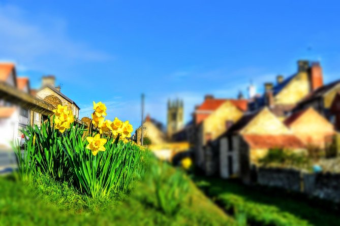 Steam Trains, Whitby, and the North York Moors Full-Day Tour from York - The Steam Railway Experience