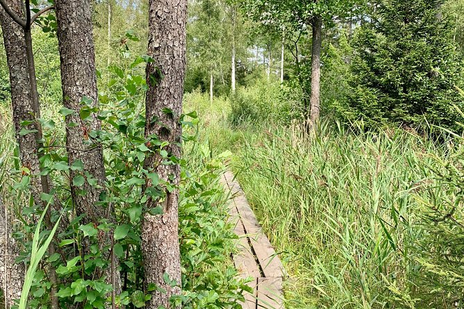 Stockholm: Nature Reserve Hiking Tour with Campfire Lunch - Authentic Experiences and Real Feedback