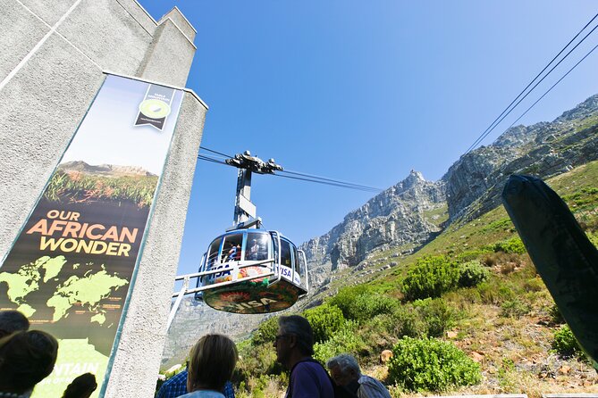 Table Mountain, Penguins & Cape Point Small Group Tour Cape Town - Who Should Book This Tour?