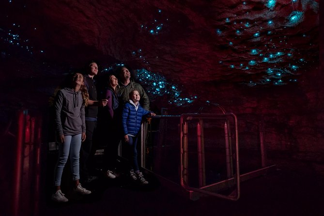 Te Anau Glow Worm Caves Tour - Depth of Experience and Value