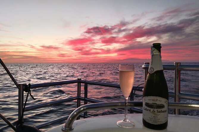 Tenerife Sunset Catamaran tour with transfer - Food and Drinks included. - Who Should Book This Tour?