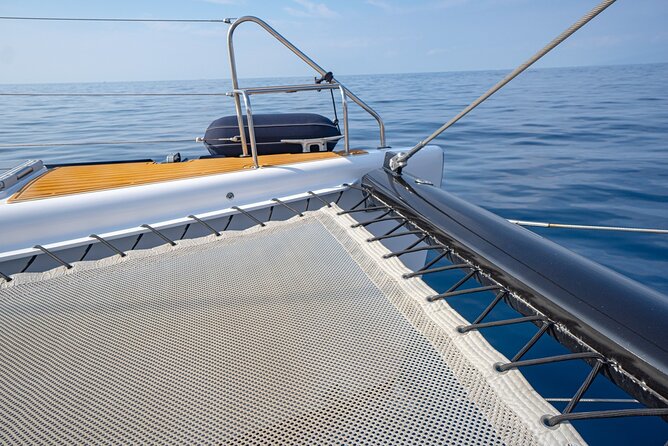 Tenerife Whales and Dolphins Watching Experience in Catamaran - Frequently Asked Questions