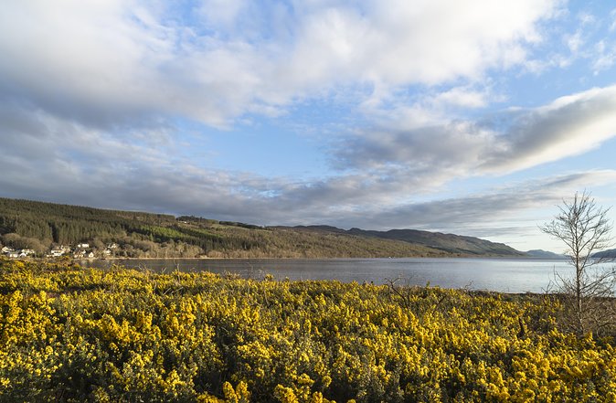 The Complete Loch Ness Experience Small-Group Day Tour from Inverness - Review Highlights: Authentic Feedback