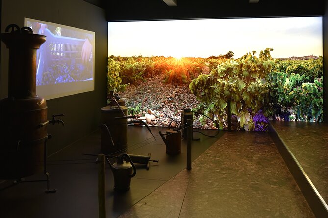 The discovery trail at Maison Brotte - Final Thoughts: Is This Tour Worth It?