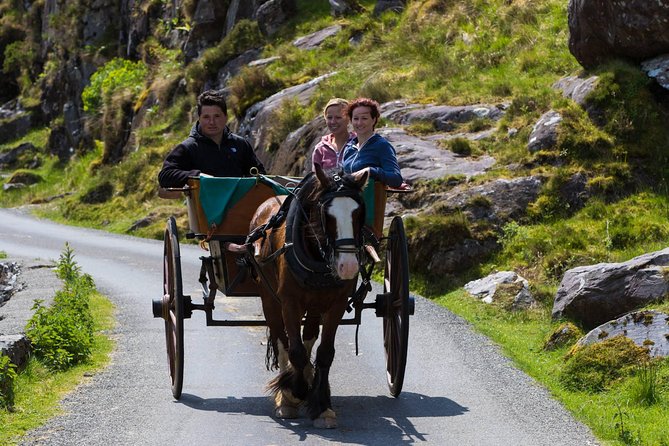 The Gap of Dunloe Full-Day Tour from Killarney - Final Thoughts: Who Is This Tour For?
