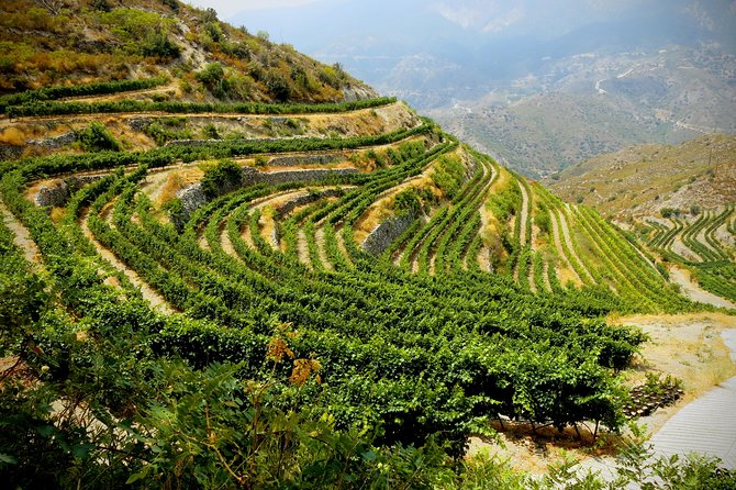The Grape Escape: Troodos Mountains thru Wine Small Group Tour 6hrs - Frequently Asked Questions