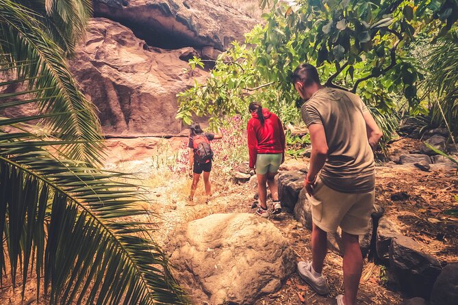 The Red Canyon Tour - Small Group Trip with Local Food Tasting - Barranco de Las Vacas: Picture-Perfect Ravine
