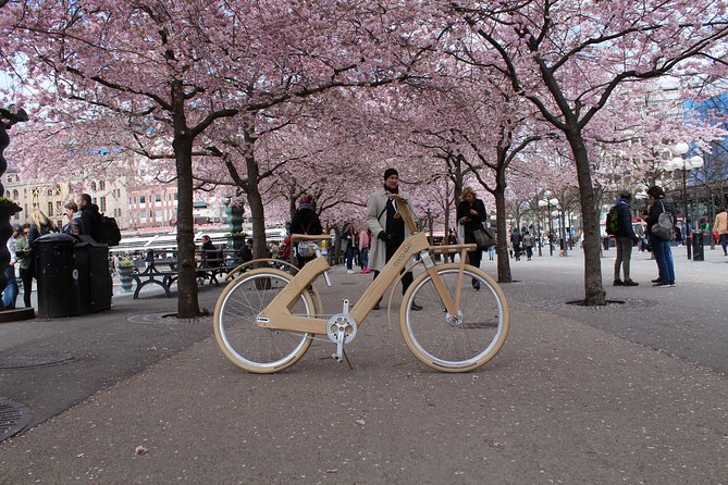 The Wooden Bicycle Tour in Stockholm - The Sum Up