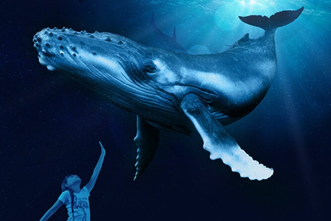 Ticket Palma Aquarium - Final Recommendation