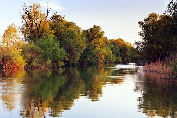Tigre Delta Small-Group Tour from Buenos Aires - Who Should Consider This Tour?