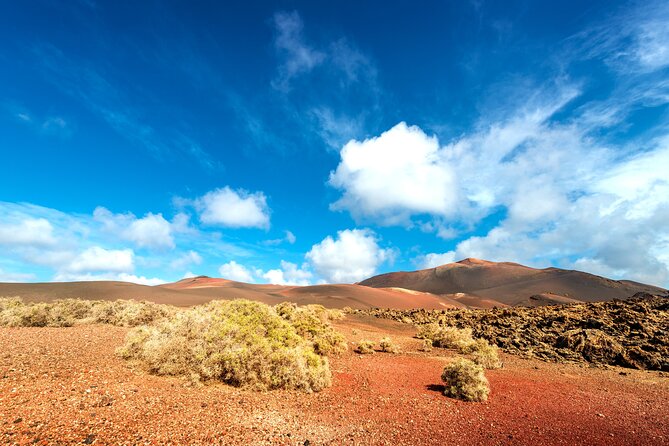 Timanfaya & Lanzarote Volcano Experience - Frequently Asked Questions