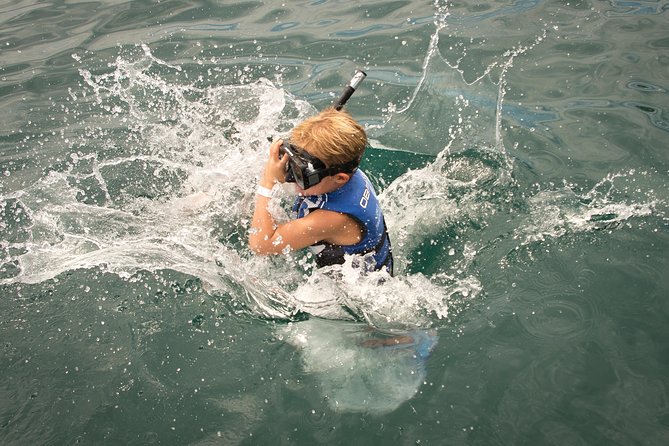 Tortuga Island Tour with Costa Cat - FAQ