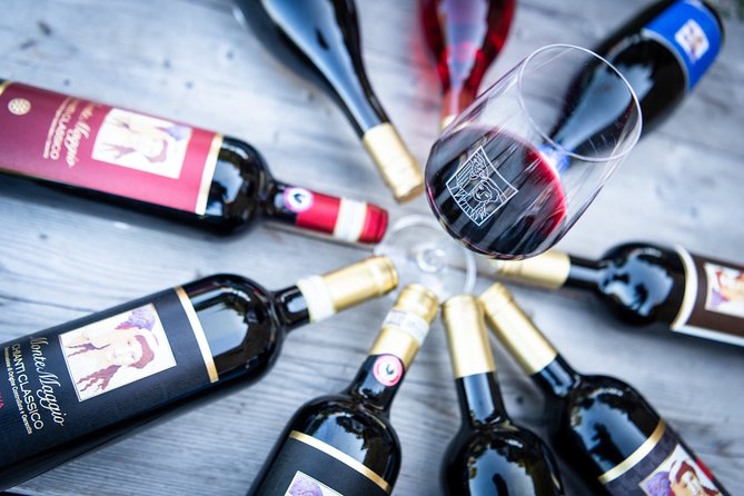 Tour and Tasting at an Organic Winery in the Heart of Chianti Classico Area - The Wines and Tasting Experience