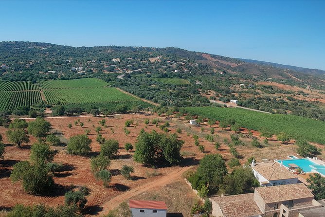 Tour & Wine tasting - Authentic Algarve Flavours by Quinta da Tôr - Practical Details: Making the Most of Your Visit