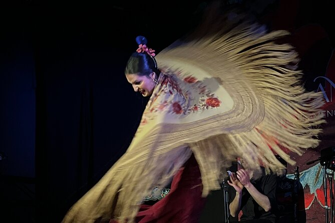 Traditional Flamenco Show at Tablao Casa Ana - The Bottom Line: Who Will Love This Experience?