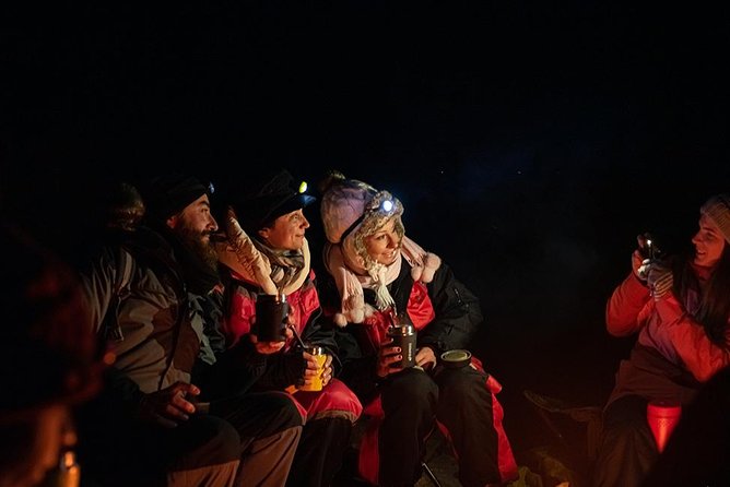 Tromsø: Aurora Hunt with Citizen Science with Wandering Owl - Who Will Love This Tour?