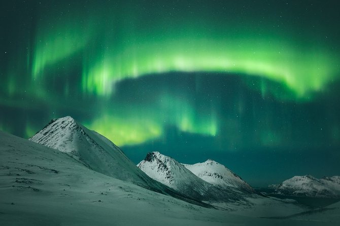 Tromsø: Small Group Northern Lights Hunt - Who Will Love This Tour?