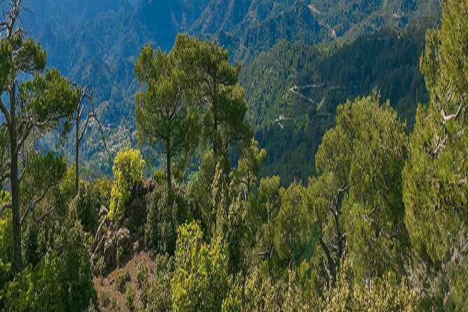 Troodos Peaks & Mountain Flavors Day Tour from Paphos - Who Will Love This Tour?