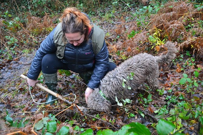 Truffle Hunting Experience with Lunch in San Miniato - Depth and Authenticity