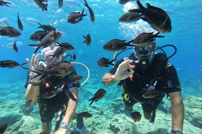 Try a Scuba Diving Experience - What Reviewers Say