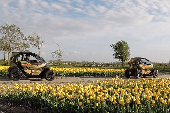 Tulip Fields Tour near Keukenhof - Self-drive with Audio Guide - Navigating the Experience