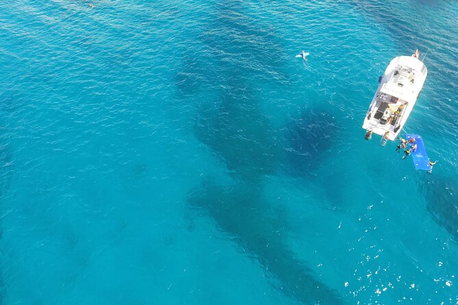 Turtle Canyons Snorkel Excursion from Waikiki, Hawaii - The Genuine Value of the Tour