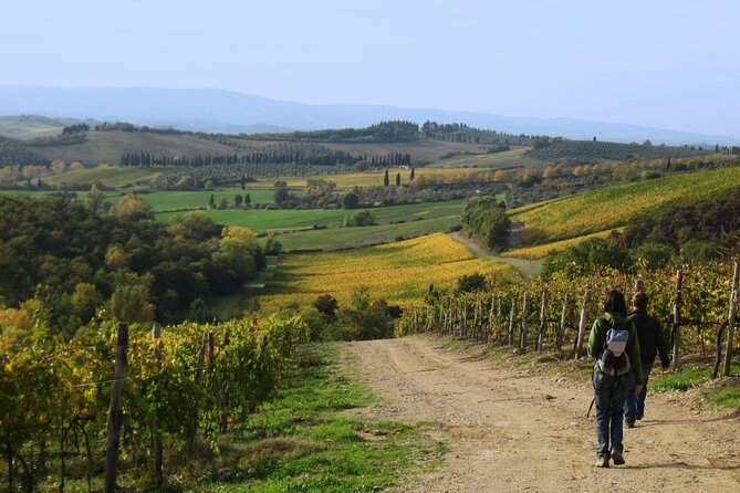 Tuscany Hiking Tour from Siena Including Wine Tasting - What the Reviews Say