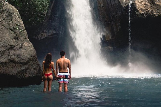 Ubud: Monkey Forest, Jungle Swing, Rice Terrace, and Water Temple - Who Will Love This Tour?