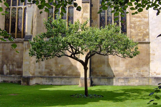 University Walking Tour - The Experience: What It Means for You
