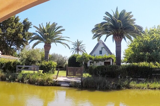 Valencia: Jeep Tour Albufera Park - The Ideal Audience