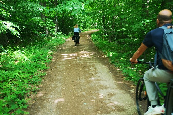 Versailles Full-Day Electric Bike Tour : Market, Picnic & Palace - Final Thoughts: Is This Tour Right for You?